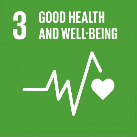 Sustainable Development Goals - iamtheCODE