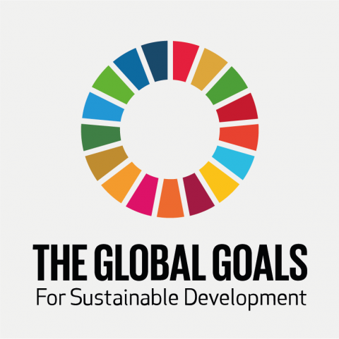 Sustainable Development Goals - iamtheCODE